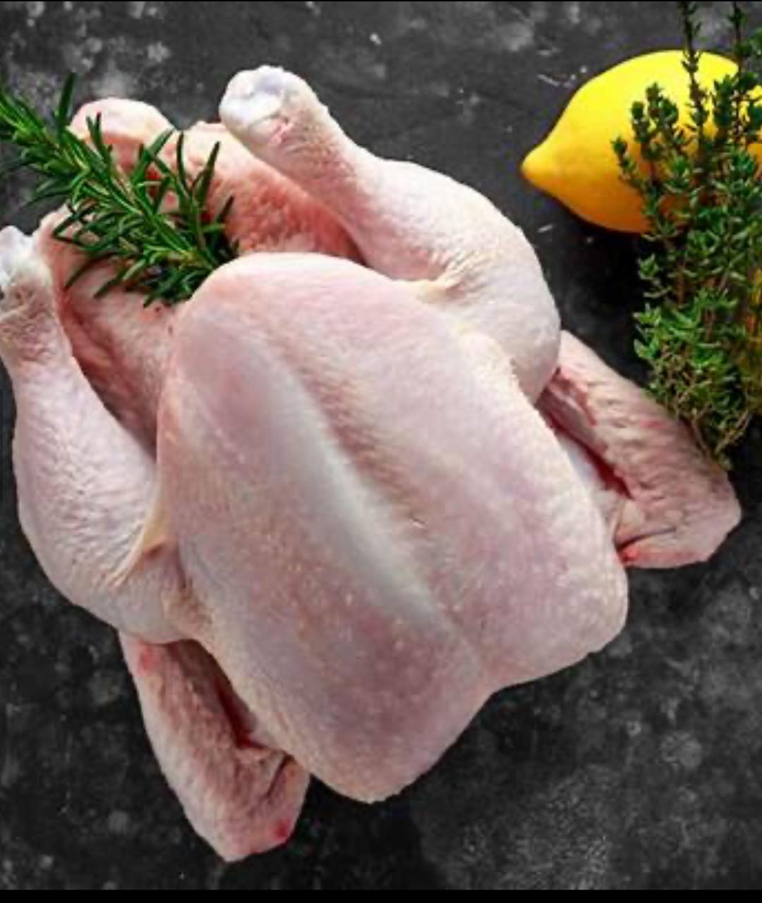 Chicken – Stars Farm Egypt
